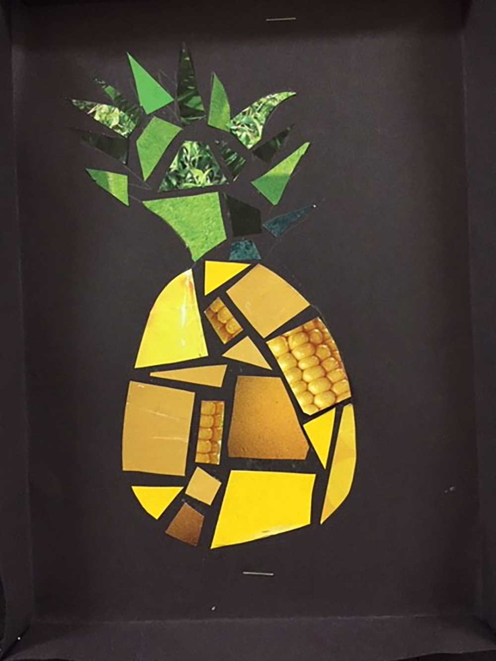 Exploring Fruit Activity | Project CHEF