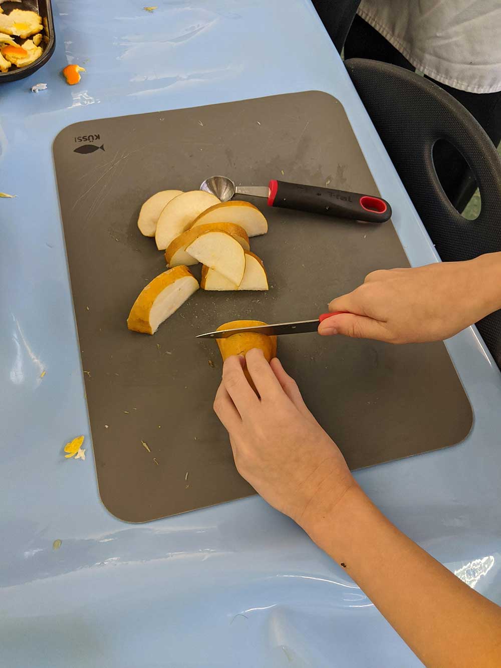 Exploring Fruit Activity | Project CHEF